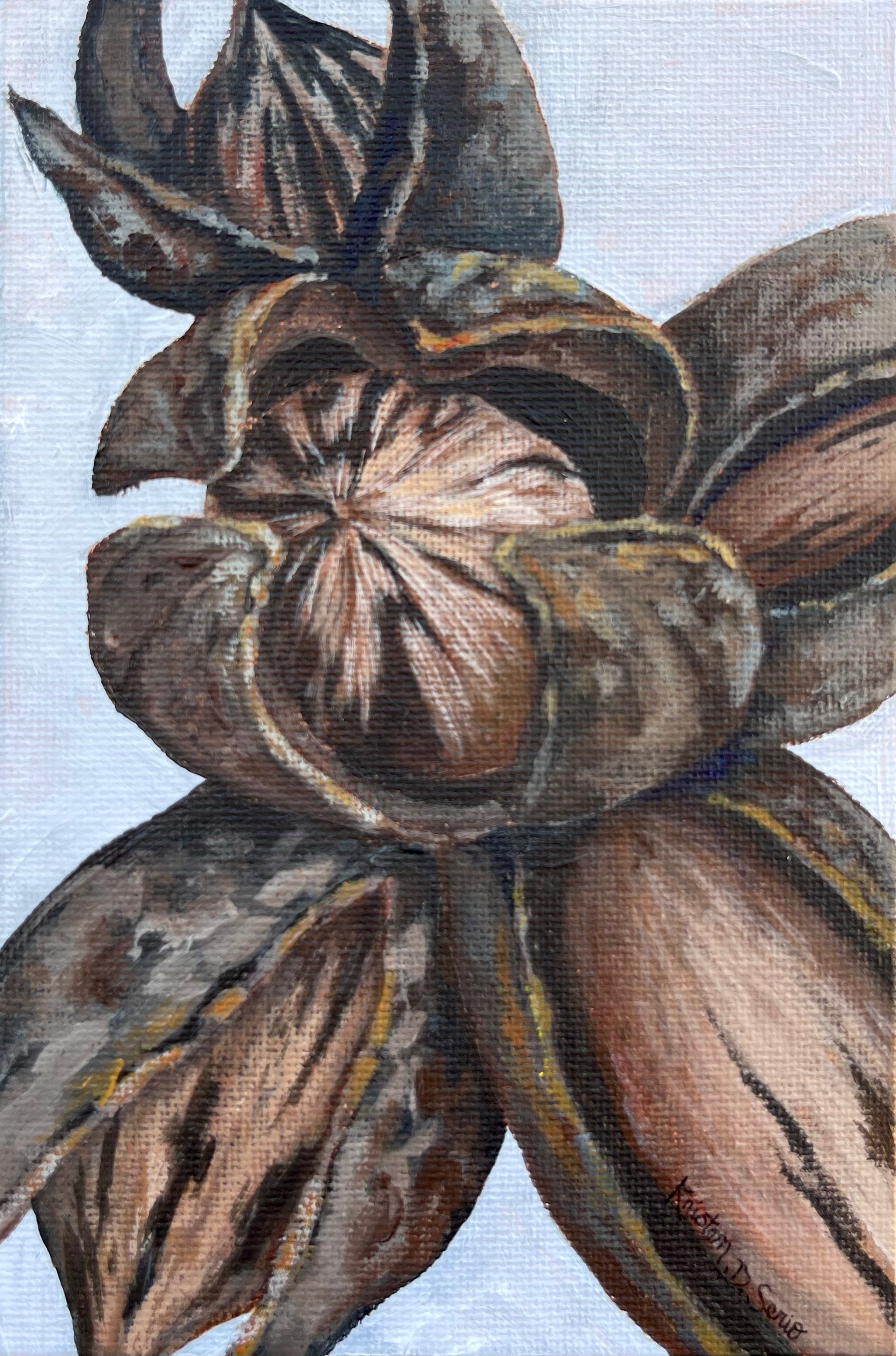 Pecans – Arte Di Kristen